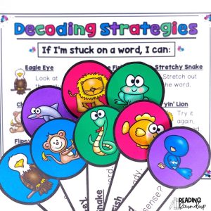 Steps For Introducing Beanie Babies Strategies | The Reading Roundup