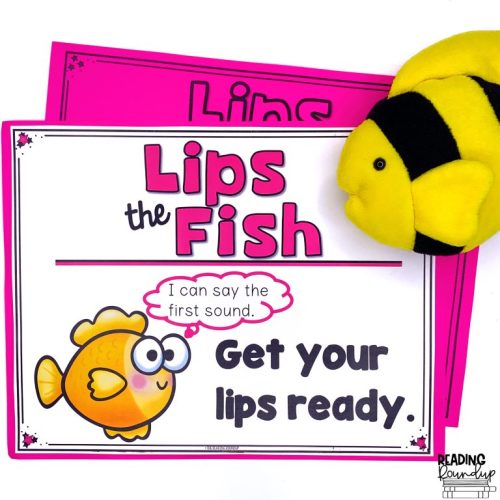 The Secret To Teaching Students How To Decode | The Reading Roundup