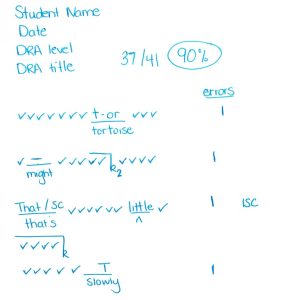 Small Group Assessments: Running Records | The Reading Roundup