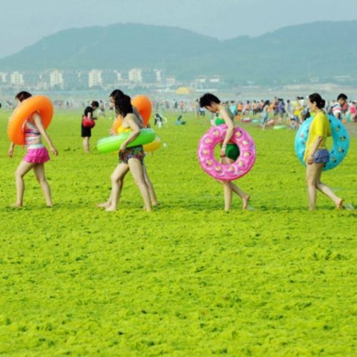 How To Use The See, Think, Wonder Strategy | The Reading Roundup