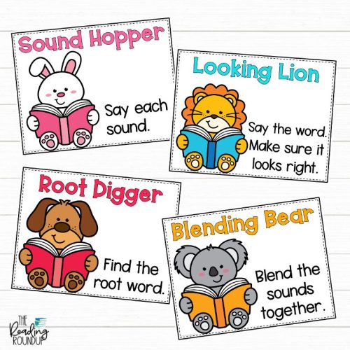 Steps For Introducing Beanie Babies Strategies | The Reading Roundup