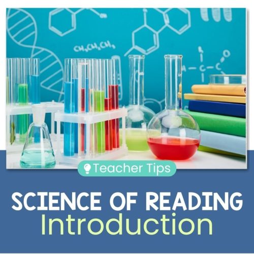 10 Science Of Reading Professional Books You Need To Read | The Reading ...