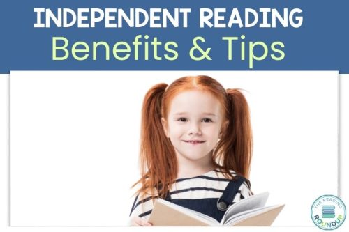 Simple Ways To Make Independent Reading More Beneficial To Students ...
