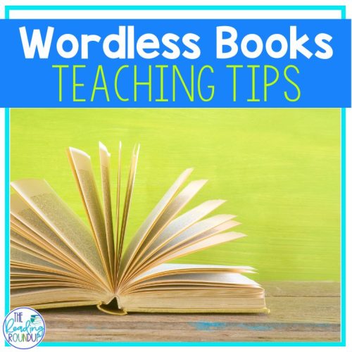 10 Wordless Picture Books That Will Teach Students To Infer | The ...