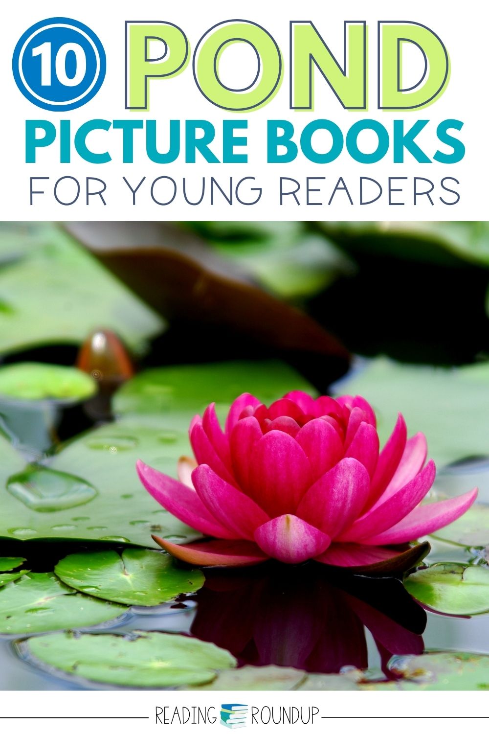 10 Pond Life Picture Books To Read This Spring | The Reading Roundup