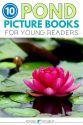 10 Pond Life Picture Books To Read This Spring | The Reading Roundup