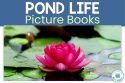 10 Pond Life Picture Books To Read This Spring | The Reading Roundup