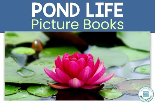 10 Pond Life Picture Books To Read This Spring | The Reading Roundup