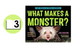 10 Types Of Books To Teach The Monitor And Clarify Strategy | The ...